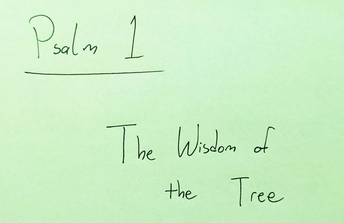 The Wisdom of the Tree (Psalm 1) | Drew Dixon